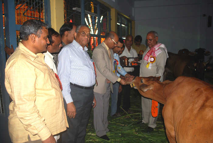 Shree Gauhati Gaushala